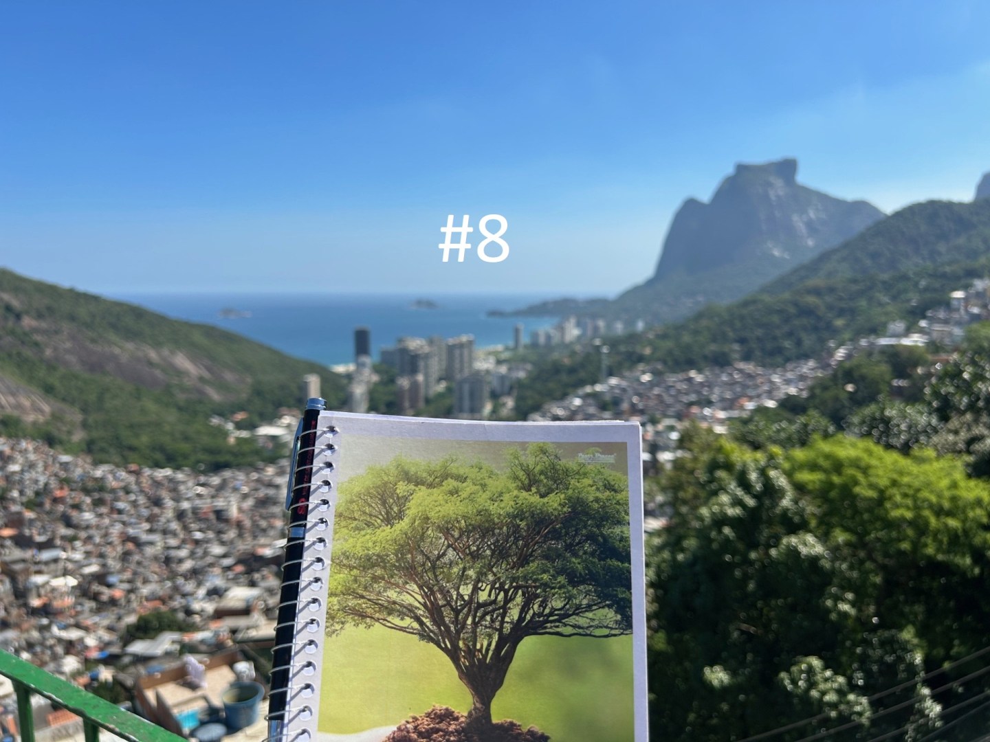 Brésil & Culture #5 : Les 4 grands clubs de Rio – Marcelin Rio